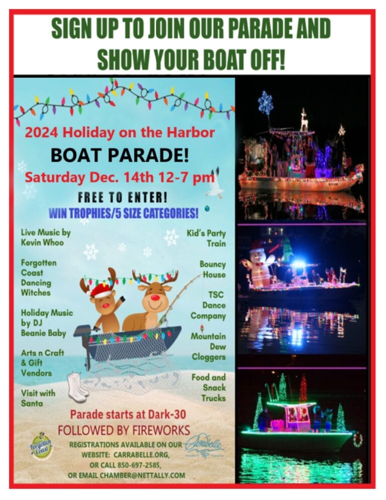 2024 Holiday on the Harbor Festival & Boat Parade of Lights ...